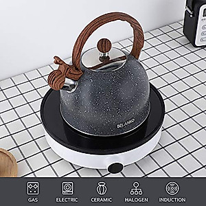 Tea Kettle, 2.3 Quart / 2.5 Liter BELANKO Stainless Steel Tea Kettles, Food Grade Stovetops Tea pot with Wood Pattern Handle Loud Whistling for Tea, Coffee, Milk etc, Gas Electric Applicable - Gray
