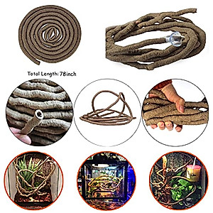 kathson Leopard Gecko Tank Accessories Reptile Habitat Decor Reptiles Hanging Plants Artificial Bendable Climbing Vines and Hidden Coconut Shell Hole for Chameleon, Lizards, Gecko, Snakes