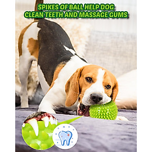 Pweituoet 3.5” Spike Dog Balls with Squeaky, Thicker and Durable, 2 Pack Dog Chew Toys Clean Teeth Training for Puppy Small Medium Large Dogs, Dog Ball Toys for Aggressive Chewers