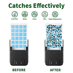 Indoor Plug-in Fly Trap - Flying Insect Trap for Flies, Mosquitoes, Moths, Rodent，Mouse，Mice - Safe & Effective - 3 Device(Black) + 15 Glue Boards