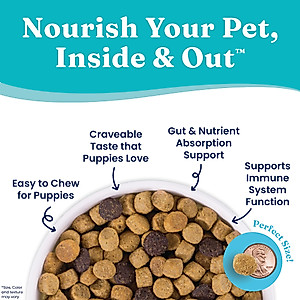 Solid Gold Large Breed Puppy Food w/Nutrientboost - Made with Real Bison, Oatmeal & Barley - Wolf Cub Whole Grain Puppy Food for Large Breed for Healthy Growth and Balanced Nutrition - 3.75 LB Bag