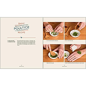 Master Recipes from the Herbal Apothecary: 375 Tinctures, Salves, Teas, Capsules, Oils, and Washes for Whole-Body Health and Wellness