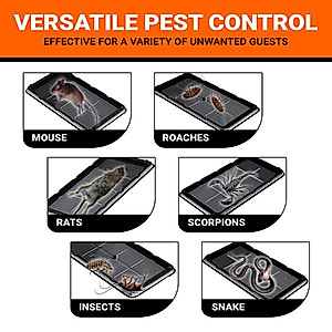 PESTQUEST 12 Pack Glue Mouse Traps Indoor for Home, Large Glue Traps for Mice and Rats, Pre-Baited Peanut Scent Sticky Rat Traps for Inside House, Snake, Lizard, Insect & Spiders, Pet & Family Safe