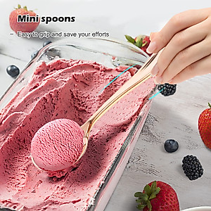 Yardwe 24pcs Disposable Plastic Mini Spoons Disposable Dessert Spoons,Gold Plastic Tasting Spoons for Desserts, Sampling, Ice-cream or Appetizers(Rose Gold)
