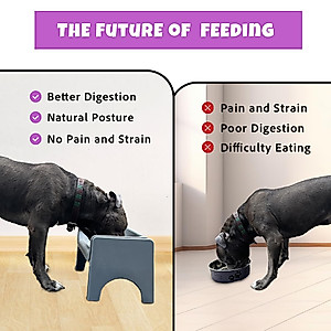Fluff Through Elevated Dog Bowl for Large Dogs Food – Dog Feeding Station with Vet Approved & Non-Toxic Silicone Bowl Insert - Raised Dog Bowl for Large Dogs for Healthy Posture & Digestion (Gray)
