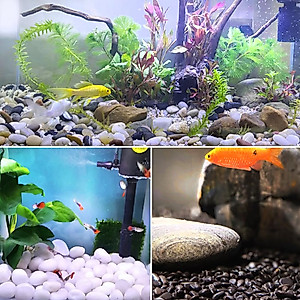 YISZM 20lbs White River Rocks for Landscaping, 2-3 Inch Natural Pebbles for Indoor Plants, High Polished Decorative Stones Vase Filler Fish Tank Aquariums Garden Outdoor and Indoor DIY