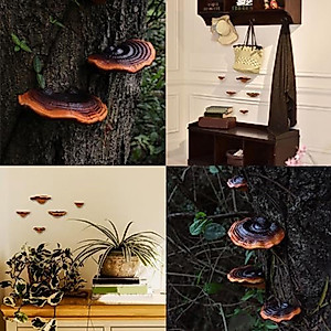 Srutueo 5 PCS Mushroom Shelf Wall Decor Small Wall Shelf Corner Wall Decor Resin for Bedroom Mushroom Decor Floating Shelves