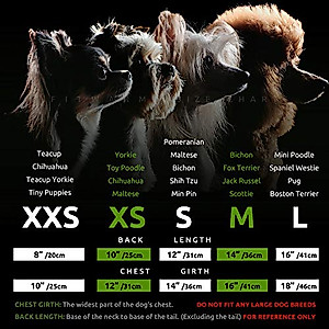 Fitwarm 2-Pack Dog XOXO Tulle Dress, 100% Cotton Dog Clothes for Small Dogs Girl, Cat Apparel, Red, XS