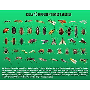 Grandpa Gus's Natural Advanced Pest Killer Concentrate, Plant-Based Actives Quick Kill Multiple Insect Species, Indoor & Outdoor Use, Light Scent, 3.7 fl oz (Pack of 2)