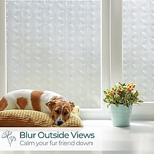 Windimiley Privacy Window Film Frosted Glass Window Cling Bathroom Peel and Stick Sun Blocking Decorative Ginkgo Opaque Door Window Tint for Home, 17.5x157.4 Inch