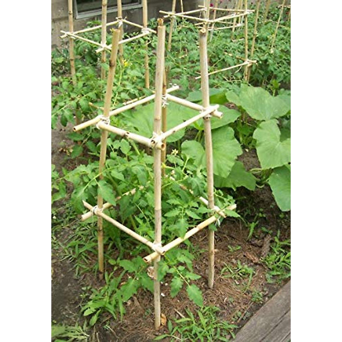 GROW!T Hydrofarm HGBB2 2' Natural Bamboo Stake, Pack of 25, Tan