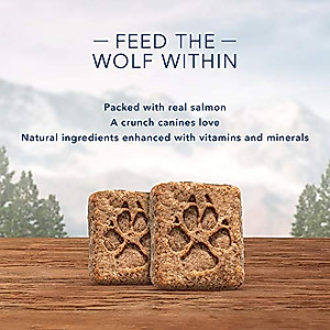 Blue Buffalo Wilderness Trail Treats High Protein Grain Free Crunchy Dog Treats Biscuits, Salmon Recipe 24-oz Bag