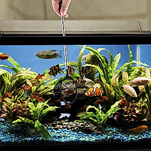 Lpraer Aquarium Fish Net 3.5" Round Fish Net with Extendable 9.8"-24.4" Telescopic Stainless Steel Long Handle Fine Mesh Fish Net for Fish Tank