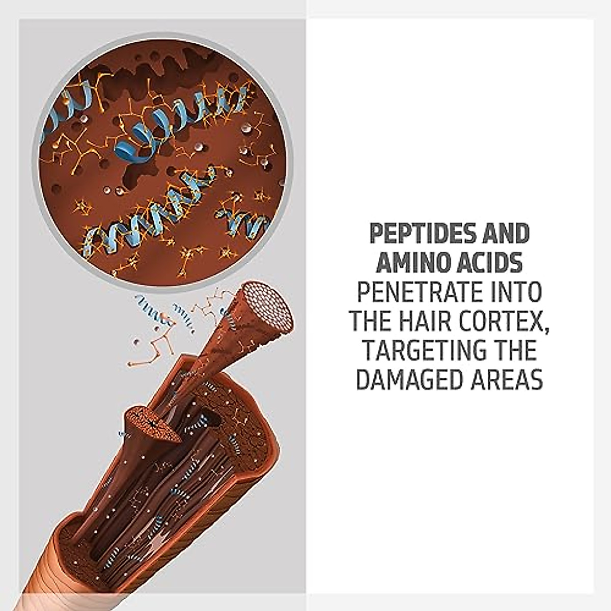 Goldwell Dualsenses Bond Pro Fortifying Shampoo 300ml