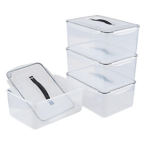 Lesbin 15 L Clear Airtight Rectangular Storage Container for Food, Set of 4 Plastic Clear Food Storage Container with Latch Lid and Handle