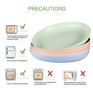 OAMCEG 6 Pack Reusable Plastic Plates 9 Inch Unbreakable Eco-Friendly Lightweight Wheat Straw Plates, Salad Plates, Camping Plates, Dishwasher & Microwave Safe, Green and Healthy Dishes