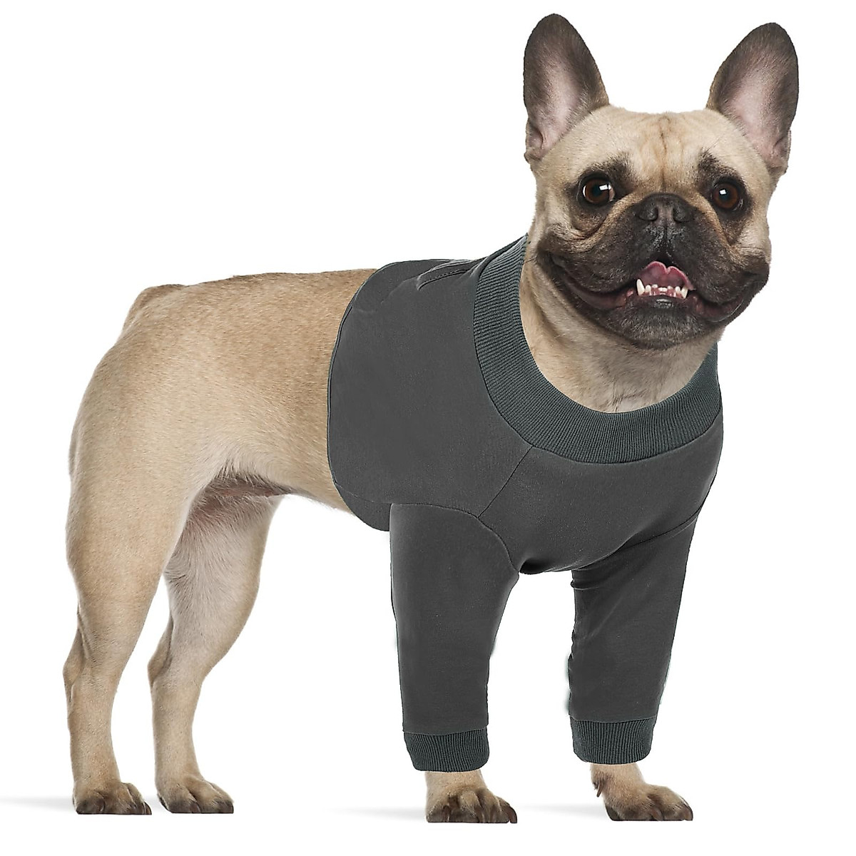 SAWMONG Dog Surgery Recovery Sleeve for Front Left Right Legs,Dog Recovery Suit to Stop Licking,Dog Leg Sleeve for Spay Neuter Elbow,Brace Protector Cone Collar Alternative Grey-S