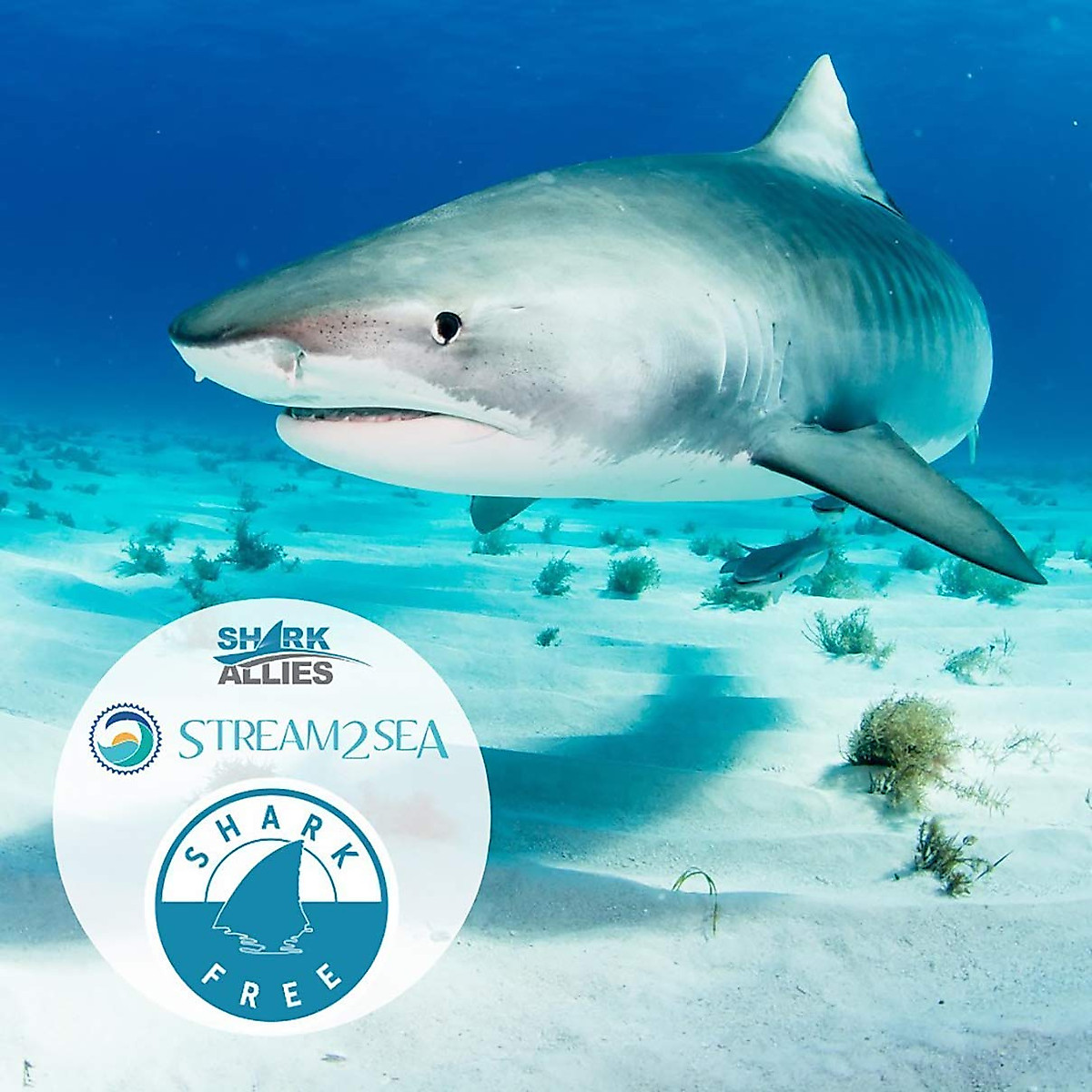 STREAM 2 SEA Leave-In Conditioner and Squalane Oil for for Moisturized Skin and Hair with Vitamin E - Natural Protection and Hydration for Skin - Reef Safe and Paraben Free.