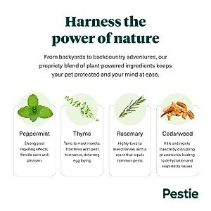Pestie Flea & Tick Treatment for Pets, Plant-Powered Spray, Repels and Kills Fleas, Ticks and Mosquitos, Safe for Cats and Dogs, Easy Spray-On, Featuring Cedarwood, Peppermint, Thyme, and Rosemary