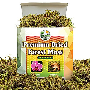 DUSPRO Premium Dried Forest Moss for Potted Plants, Ideal for Orchid Moss Potting Mix Indoor Moisture Repotting Orchid Soil Medium, Terrarium Decor, Natural Reptile Vine 5oz