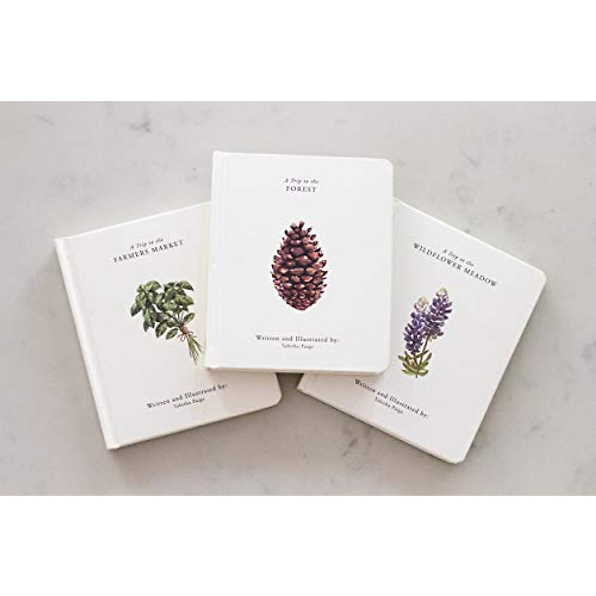 Our Little Adventures: Stories Featuring Foundational Language Concepts for Growing Minds (Our Little Adventures Series)