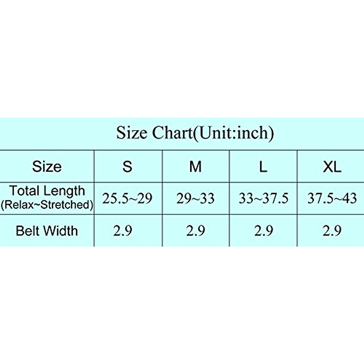 Grace Karin® Women's Fashion Waist Belt Stretch Dress Metal WaistBand L CL409-1