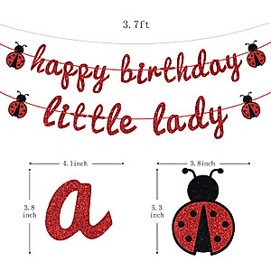 Ladybug Theme Happy Birthday Little Lady Banner - Girl's Baby Shower/Birthday Party Backdrops- Baby's 1st/2nd/3rd Barthday Decorations Supplies for Girl