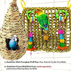 SunGrow Bird, Small Animals & Rabbit Foraging Wall Chew Toy with Hanging Hook, Seagrass Woven Mat with Colorful Wooden Blocks, Grind Teeth