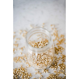 Amish Country Popcorn | 2-2 Lb Bags - Medium White Kernels | Old Fashioned, Non-GMO and Gluten Free (2-2lb Bags)