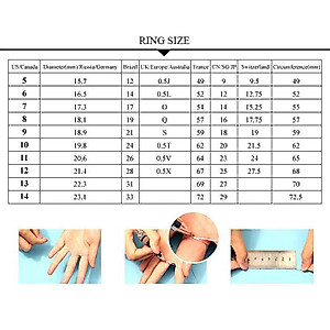 Skull Viking Freemason Masonic Band Ring Compass Hip Hop Vintage Statement Masonic Punk Biker Gift Gothic Flying Double Eagle Jewelry Ring 14k White Gold Finish 925 Sterling Silver