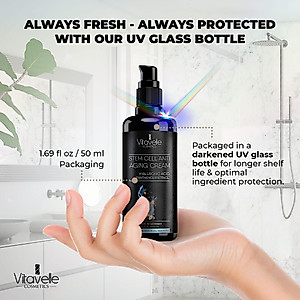 VITAVELLE Stem Cell Face Cream - Hyaluronic Acid, Shea Butter & Jojoba - Anti-Wrinkle, Hydrating Moisturizer for Smooth Skin