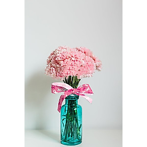 Hying 2 Rolls Breast Cancer Awareness Ribbons for Wreath Bows Wrapping Gifts, White Pink Ribbon for Gift Wrapping Breast Cancer Awareness Party Decoration DIY Crafts 2.5" X 10 Yards Wired Edge Ribbon