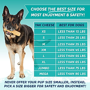 Durkha Yak Himalayan Dog Chews | Natural Long Lasting Dog Chew Made from Yak or and Cow Milk | Great for Aggressive Chewers, 5 Piece, Medium(3-4 OZ per Piece)