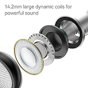 WJLYP TRN EMA Metal Flat-Head Earphone 14.2mm Dynamic Driver in Ear Sports Running Headphone Bass HiFi Music Headset Earbuds with Detachable Upgrade Cable (Without Mic)