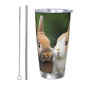 Cute Rabbits Tumbler with Lid and Straw 20oz Stainless Steel Car Cup for Hot and Cold Drinks, Double Wall Insulated Travel Coffee Mug Reusable Drink Thermos Cup Birthday Gifts