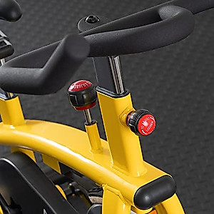 Element Fitness Kids Exercise Bike - Neon Jr Kids Bike - Kids Stationary Bike For Indoor Riding - Quiet Kids Spinning Bike - Workout Bike for Kids - Kids Spin Bike for Home - Suitable for Home, Classroom, Gym