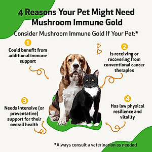 Pet Wellbeing - Mushroom Immune Gold - Natural Alternative Immune Support for Dogs and Cats - 8oz (237ml).