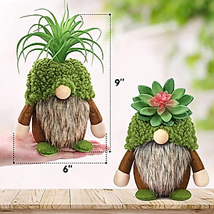 Succulent Gnomes Spring Green Plants Gnomes Swedish Plush Tiered Tray Decoration Tomte Doll Decor Cacti Nordic Dwarf Spring Summer Home Stuffed Gnomes Collection Garden Gift for Her Him Plant Lover