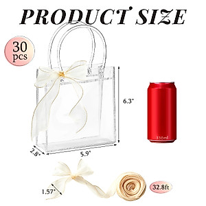 Ohuimrt 30 PCS Clear Plastic Gift Bags with Handles, Reusable Party Favor Bags with Ribbon Transparent Gift Wrap Bags Bulk for Weddings Birthdays, 5.9 x 6.3 x 2.8 Inches