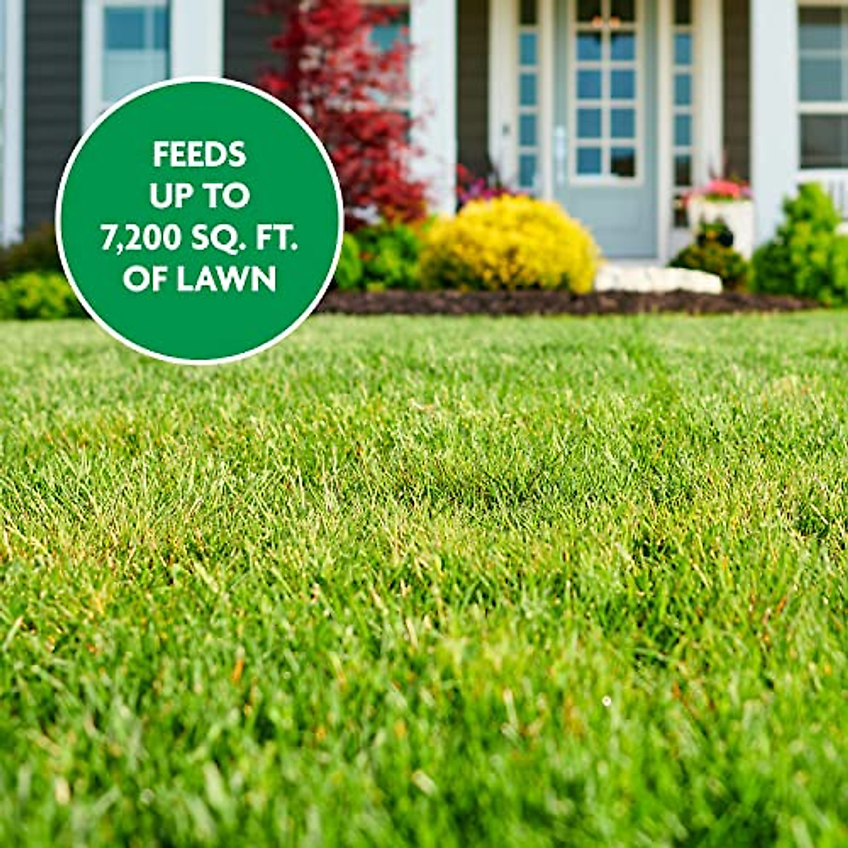 Miracle-Gro Water Soluble Lawn Food - Fertilizer for All Grass Types, Feeds Up to 7,200 sq. ft.