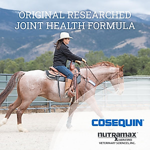 Nutramax Cosequin Original Joint Health Supplement for Horses - Powder with Glucosamine and Chondroitin, 280 Grams