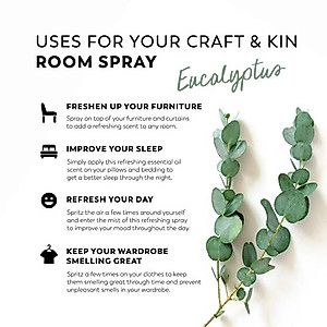 Craft & Kin Eucalyptus Room Spray, Fall Room Spray, Eucalyptus Essential Oil Spray, Eucalyptus Linen Spray for Pillows, Eucalyptus Spray Room, Holiday Room Spray, Christmas Room Spray 3.4 oz