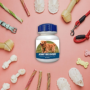 CoCoo Dog, Ferret & Rabbit Glucosamine, Joint Recovery Chewable Tablets, 180 Flavored Tablets, Improves Flexibility & Mobility