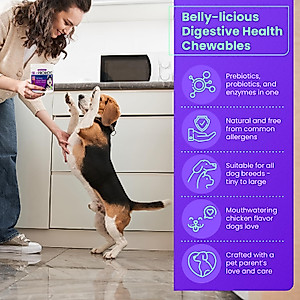 FREYDELL Pets Probiotics for Dogs Dog Upset Stomach Relief Dog probiotic, Fiber Supplement for Dogs, Yeast Infection Treatment for Dogs & Dog Diarrhea Medication, Probiotic for Dogs of All Ages.