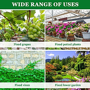 Generic 100 PCS Plant Support Clips for Climbing Plants Outdoor, Tomato Plant Support Vine Clips Plant Flower Lever Loop Gripper Fixing Clips, Secured Plastic Plant Clips Reusable Garden Clips