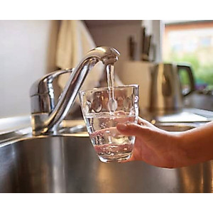 Watts Premier WP560100 5 Micron Carbon Block Water Filter, 2-Pack