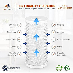 Aquaboon Universal Whole House 5 Micron 10 x 4.5 inch Cartridge | Premium Coconut Shell Replacement Water Filter Cartridge | Activated Carbon Block CTO | Compatible with Pentek EP-BB 4-Pack