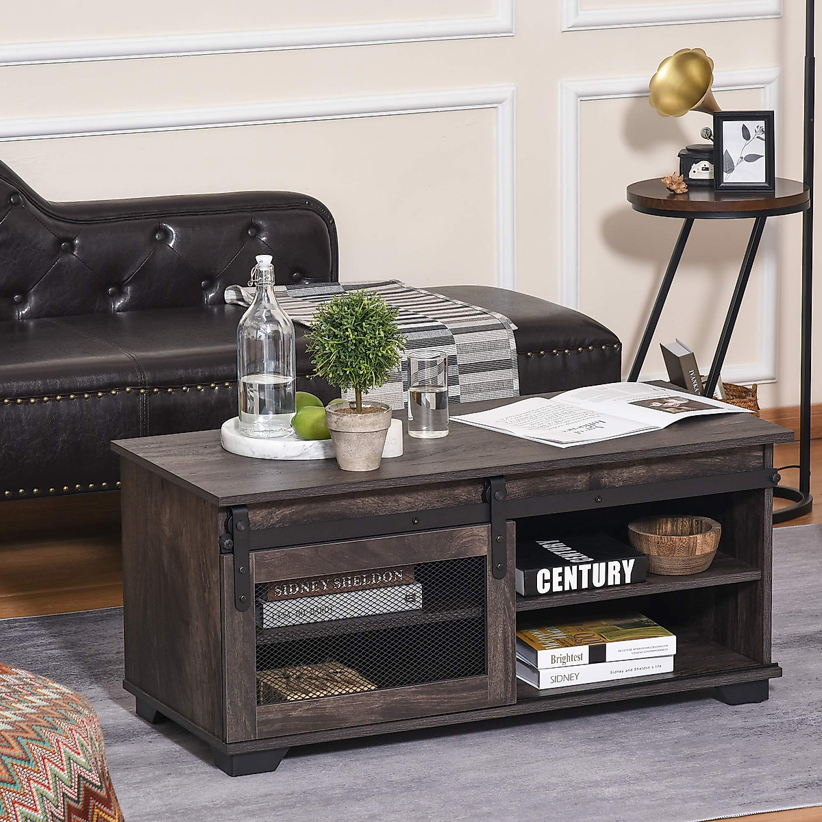 HOMCOM Farmhouse Coffee Table with Storage, Sliding Mesh Barn Door, Industrial Cocktail Table with Adjustable Shelves for Living Room, Dark Brown