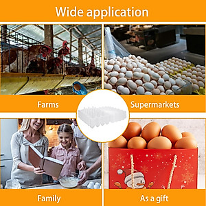 Oungy 36 PCS Plastic Egg Cartons Cheap Bulk 24 Count Clear Blank Egg Cartons with Free Labels Holds up to 24 Eggs Securely Reusable Egg Carton for Family Pasture Chicken Farm Market Display, 4x6 Grids