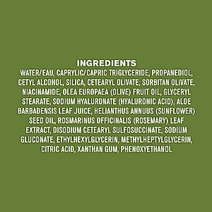 Every Man Jack Daily Face Lotion for Men - Deeply Moisturize and Revive Dry, Tired Skin with Hyaluronic Acid, Aloe Vera and Niacinamide - 2.5 oz Men’s Face Lotion (2 Pack)